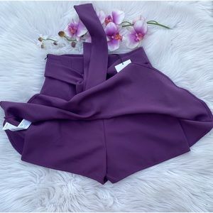 Zara | Skirts | Nwt Zara Purple Ruffle Mini Skort | Poshmark